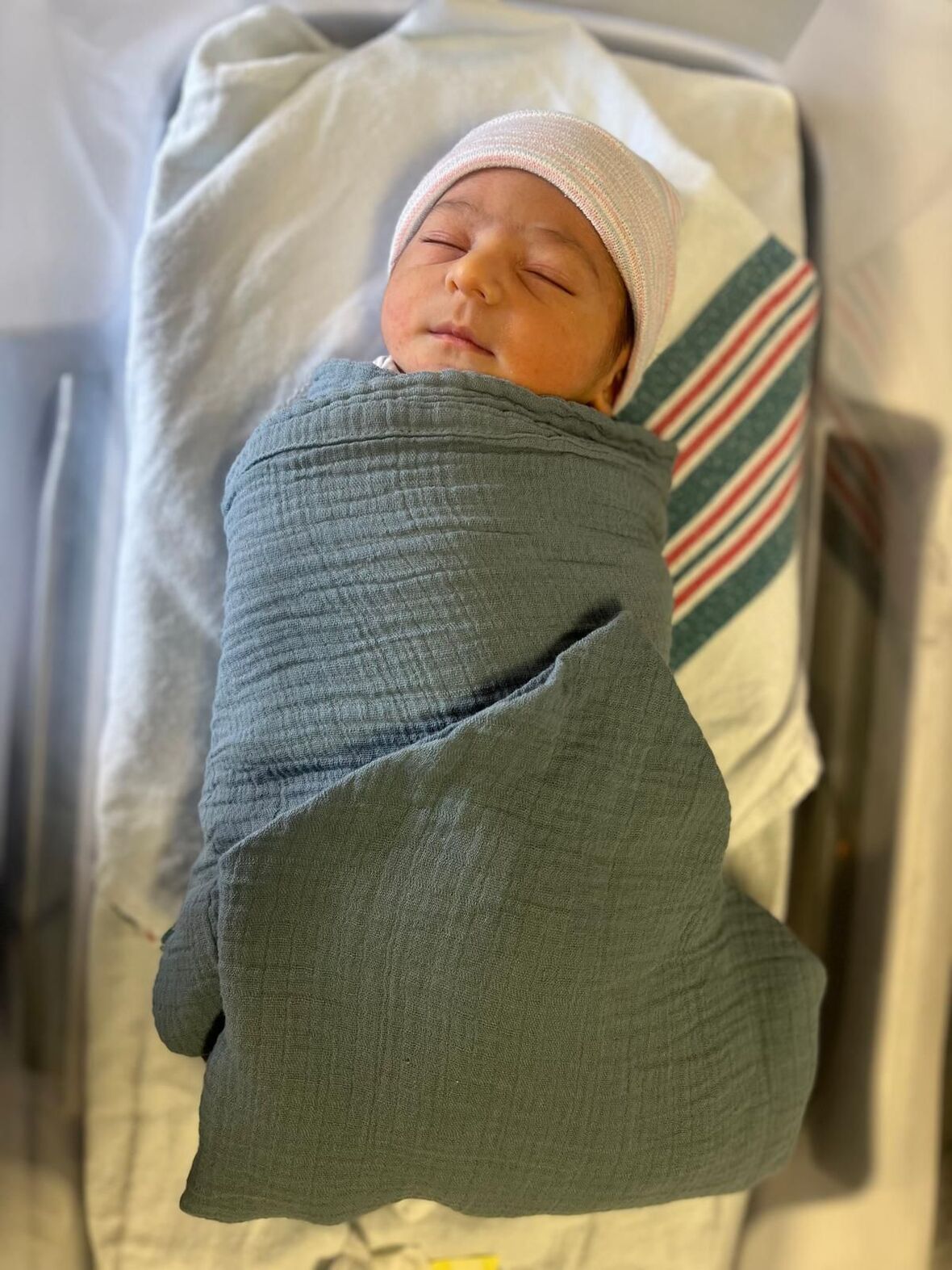 Shiras and Celebrations